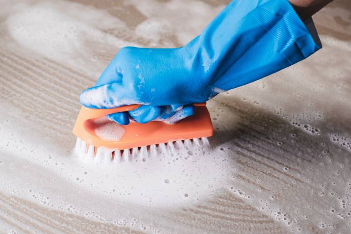 How to Deodorize a House | Airtasker US