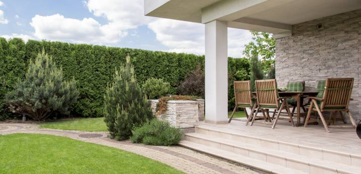 How to trim hedges: a step-by-step guide | Airtasker US