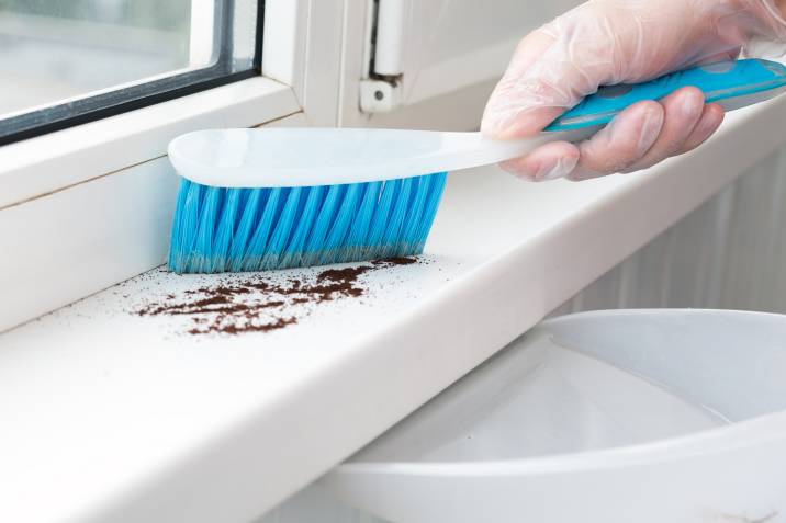 The Best Way to Clean Windows | Airtasker US