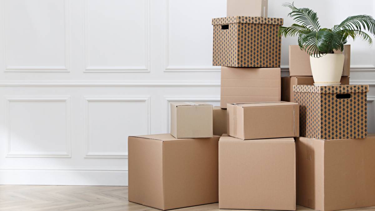 13 Places to Get Moving Boxes for Free | Airtasker US