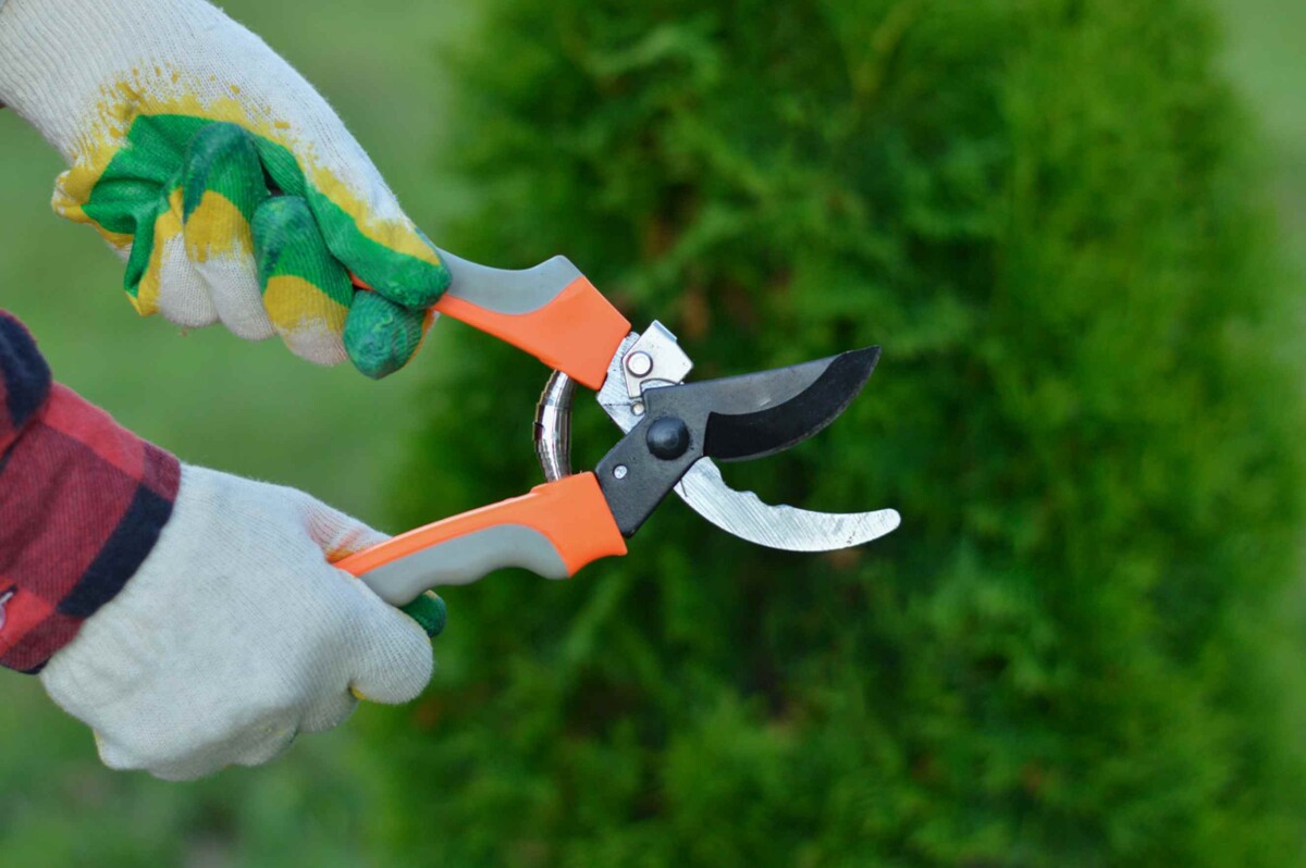 Top 10 Best Garden Tool Repairs near you | Airtasker US